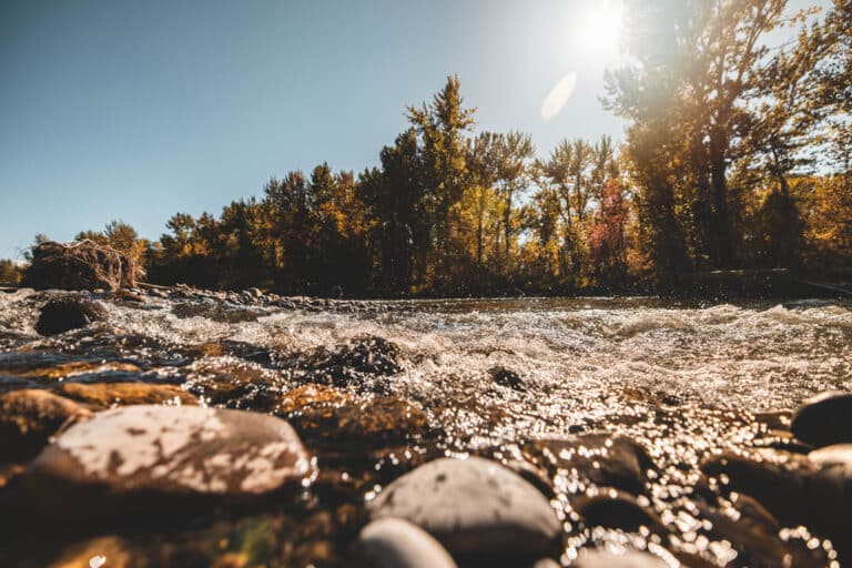 Authentic Bozeman Lodging at Gallatin River Lodge